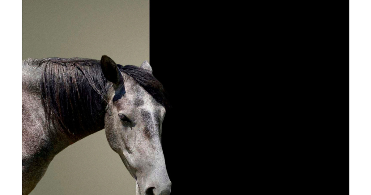 QUADRO Italy 2023 / SEPT. Мобильный загородный фотограф в СПб и ...