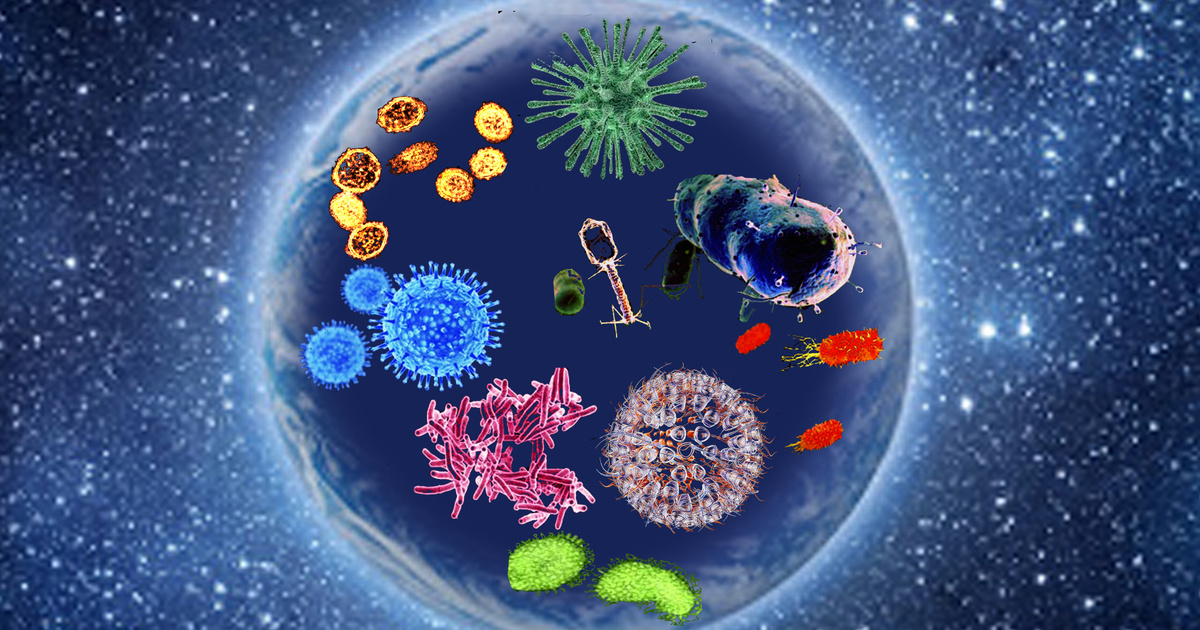 The Red Queen Principle *. Home