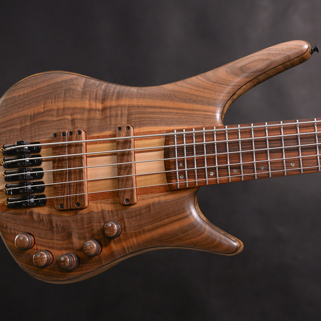 Guitars and basses. Master of making guitars and basses to order