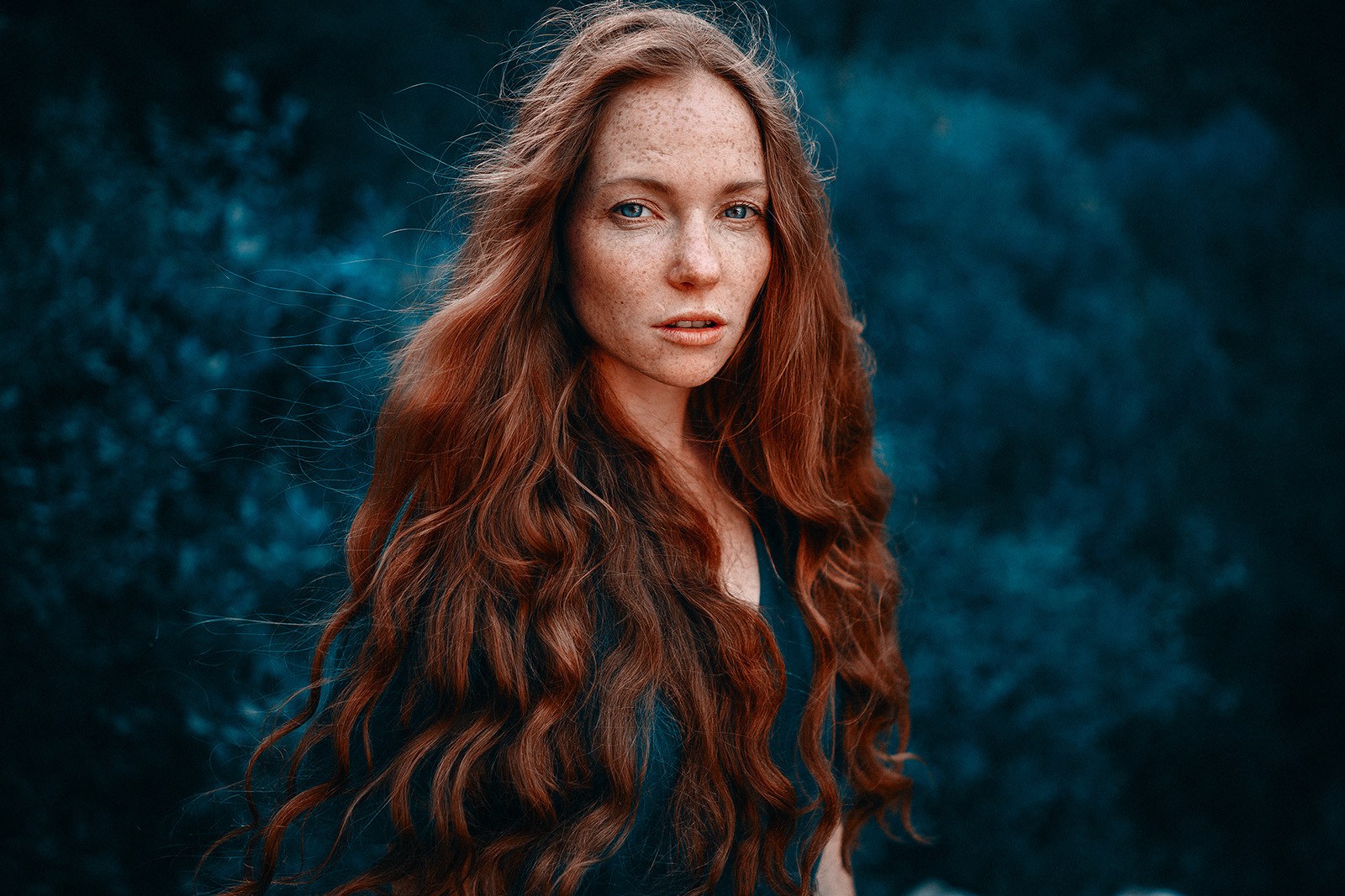 LUT. Maxim Gustarev — photographer